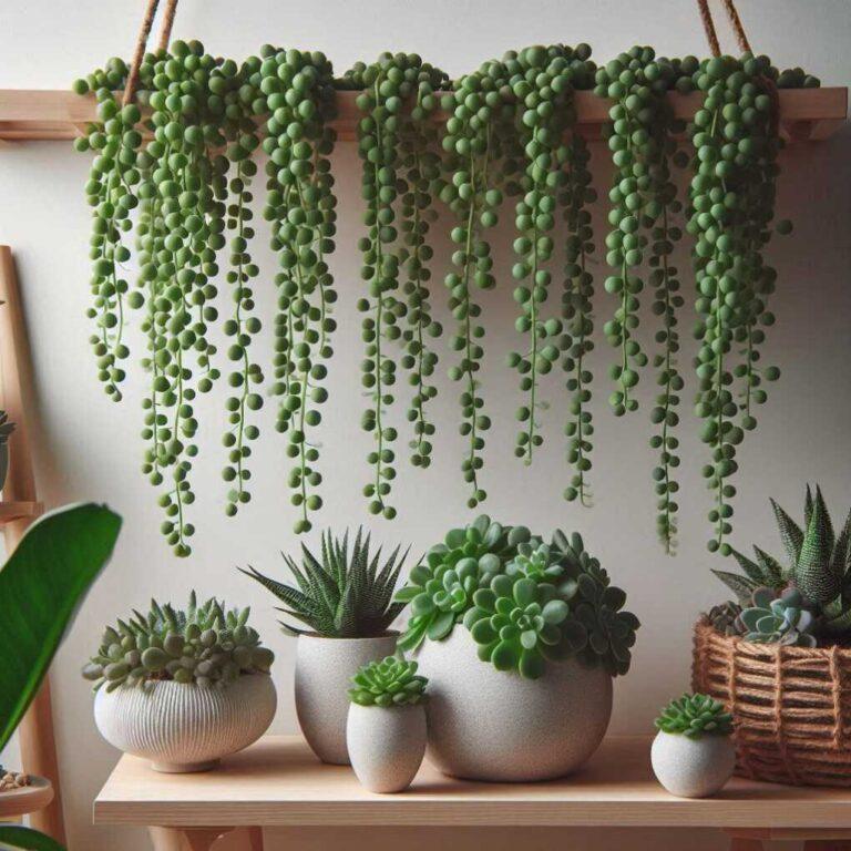 35 Indoor Vine Ideas for Your Home: Transform Your Space with Green ...